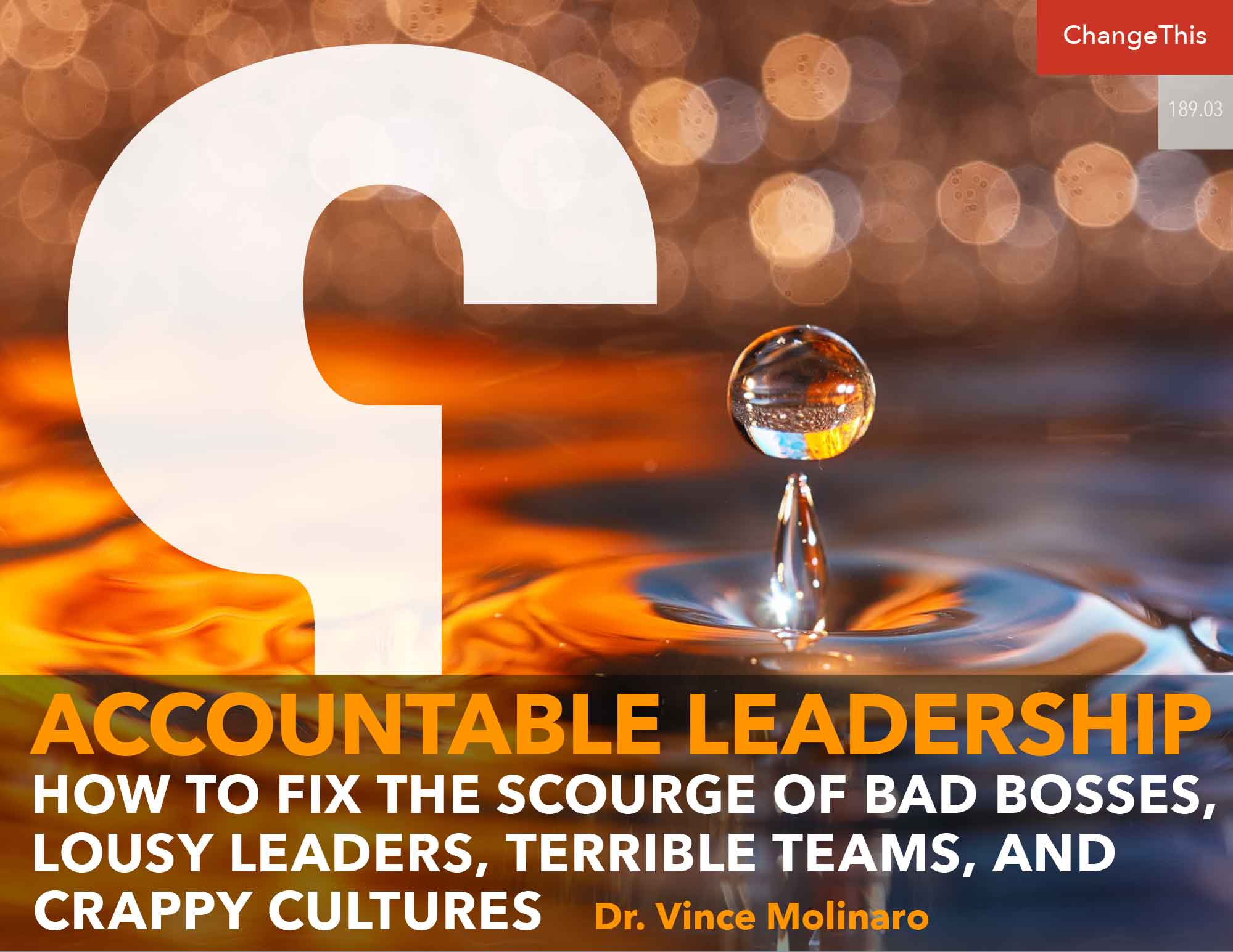Accountable Leadership – Porchlight Book Company