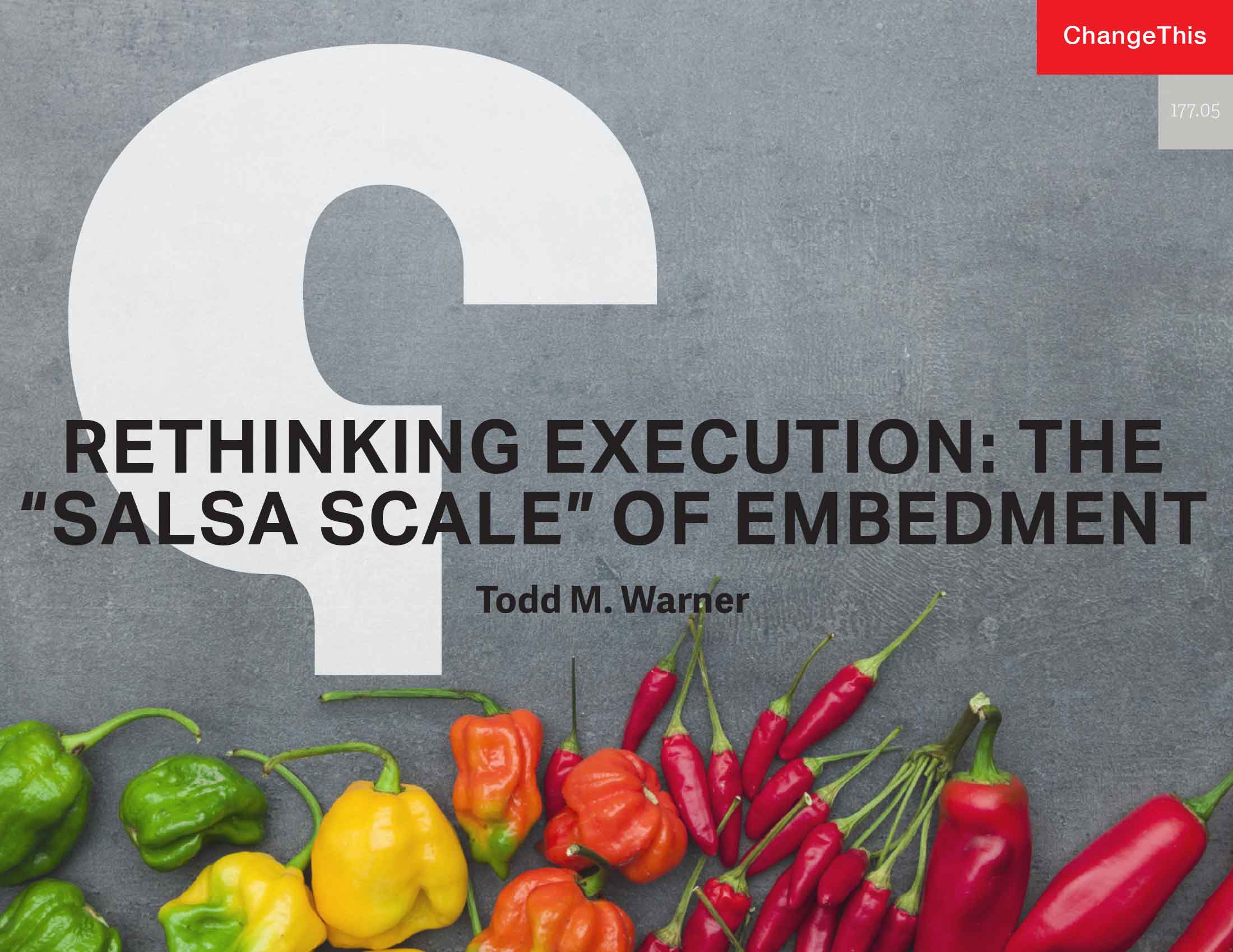 Rethinking Execution: The 'Salsa Scale' of Embedment – Porchlight Book ...