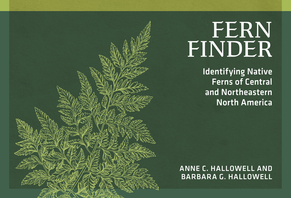 Fern Finder by Anne C Hallowell – Porchlight Book Company